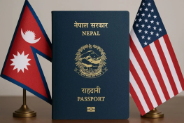 How Do I Check My Case Status in NVC? A Complete Guide - popularmigrant.com