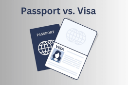 What is an InfoPass Appointment with USCIS? Everything You Need to Know ...